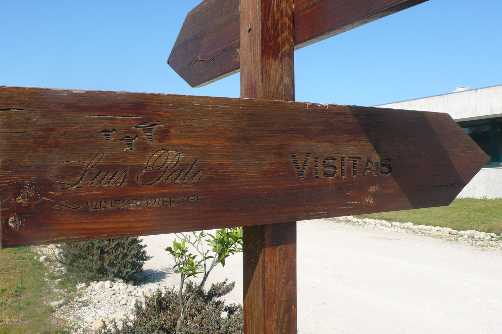 Live - Luis Pato, 40 anos de Grandes Vinhos e Belas Histórias | Viva o ...