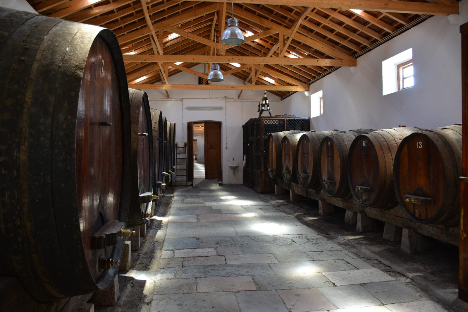 Vinhos de Colares: o vinho que nasce na areia de uma região única em ...