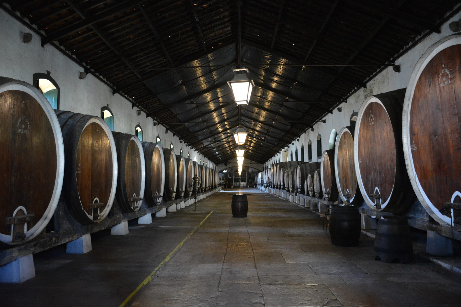 Vinhos de Colares: o vinho que nasce na areia de uma região única em ...