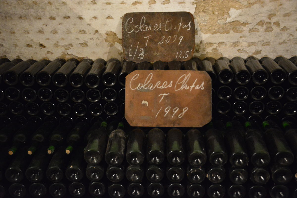 Vinhos de Colares: o vinho que nasce na areia de uma região única em ...