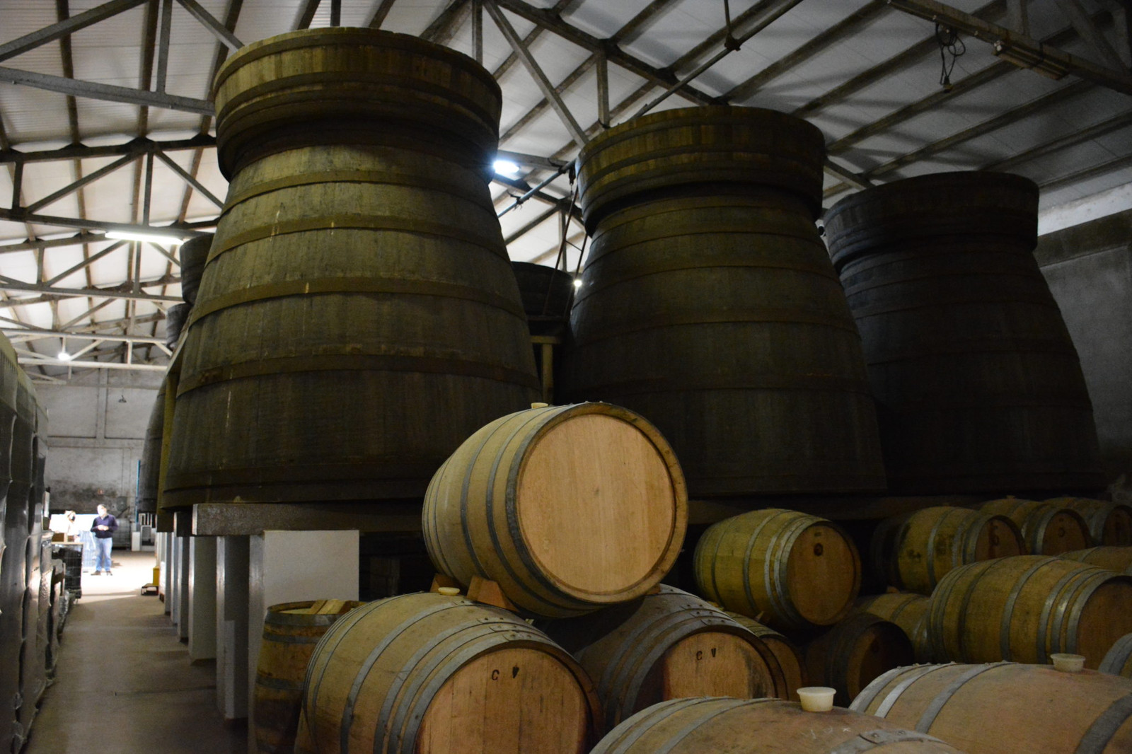 Vinhos de Colares: o vinho que nasce na areia de uma região única em ...