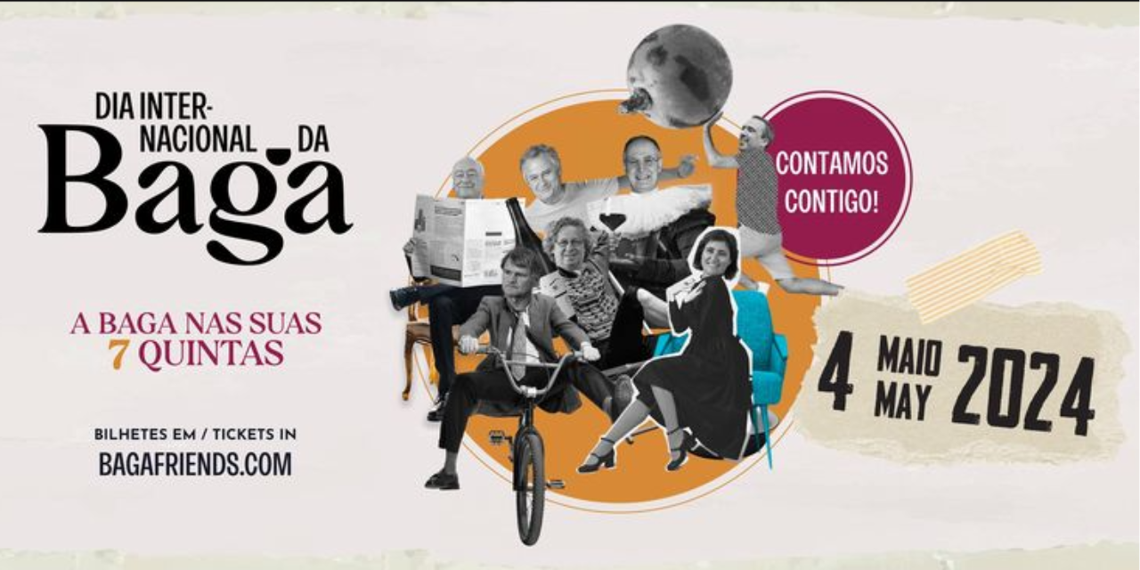 Dia Internacional da Baga 2024 | Viva o Vinho